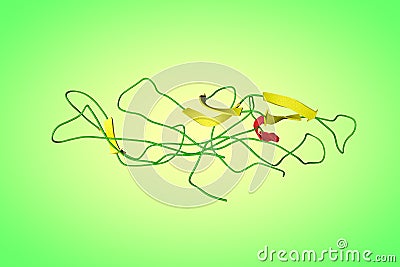 Human Chorionic Gonadotropin HCG Glycoprotein Hormone, Chemical ...