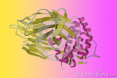 Crystal Structure Of Human Interleukin-2 In Complex With Interleukin-2 ...