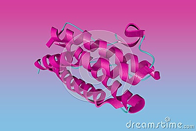 Crystal Structure Of The Human Leukemia Inhibitory Factor (LIF ...