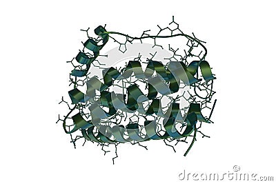 Crystal Structure And Molecular Models Of Human Interleukin-6, Pro ...