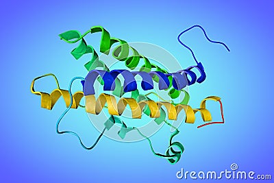 Crystal Structurel Of Human Prolactin. Ribbons Diagram In Rainbow ...