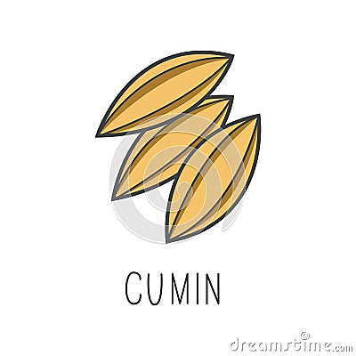 Cumin Line Vector Illustration, Cooking Isolated Icon. | CartoonDealer ...
