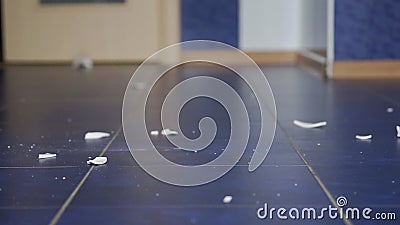 The Cup Falls To the Floor and Breaks into Small Pieces Stock Video ...