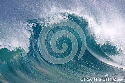 Curling Wave Royalty-Free Stock Photography | CartoonDealer.com #5631623