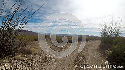 Curving Dirt Road in South Texas Stock Video - Video of dirt, summer ...