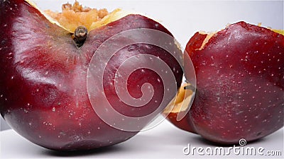 Cut Out Apple with Badly Rotten Core Pause and Rotating Stock Video ...