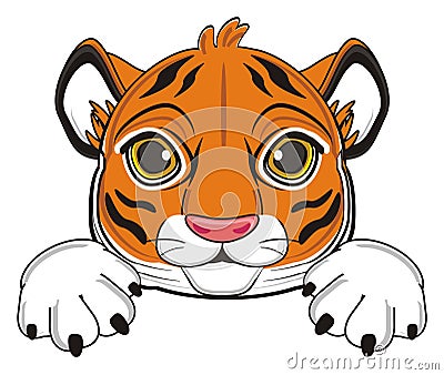 Cute Face Of Tiger Stock Photo | CartoonDealer.com #84036432