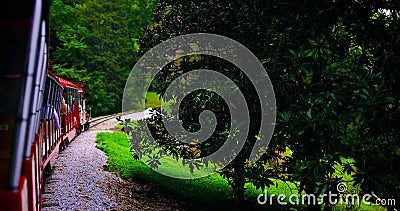 Cute Tourist Train Moving Along the Summer Park Stock Footage - Video ...