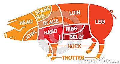 Cuts Of Pork - Meat Diagrams Royalty Free Stock Photos - Image: 29084658