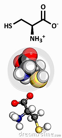 Cysteine L-cysteine, Cys, C Amino Acid Molecule. Cartoon Vector ...