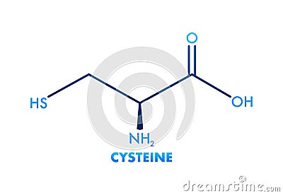 Cysteine Molecular Skeletal Chemical Formula. 3d Icon With Cysteine ...