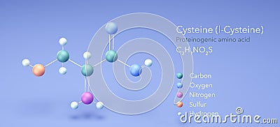 Cysteine, Proteinogenic Amino Acid, Molecular Structures, 3d Model ...