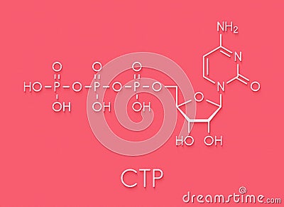 Cytidine Triphosphate CTP RNA Building Block Molecule. Also Functions ...