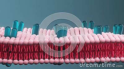 Cytomembrane And Biology, Life And Health, 3d Rendering Stock Video ...