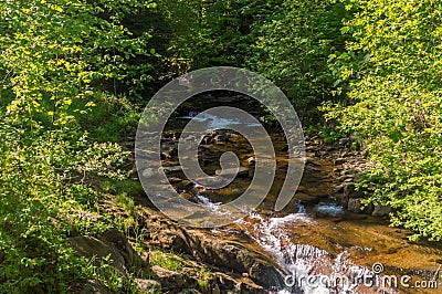 Czarna Wiselka Creek. Source Creek Of The Vistula River Royalty-Free ...