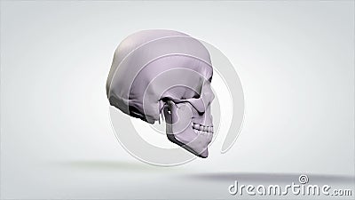3d Anatomical Model Rotating Human Skull Stock Video - Video of ...