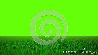 3D Animation of Green Grassy Field on Green Screen Stock Video - Video ...