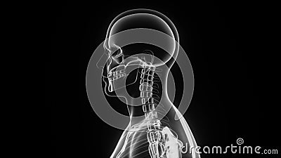 3d Animation of Human Body and Skeleton, X-ray Stock Video - Video of ...