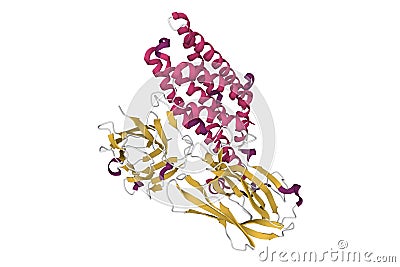 Crystal Structure Of Bacillus Thuringiensis Insecticidal Crystal ...