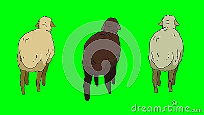 2D Character Walking Cycle of Three Sheep from the Back Angle. Green ...