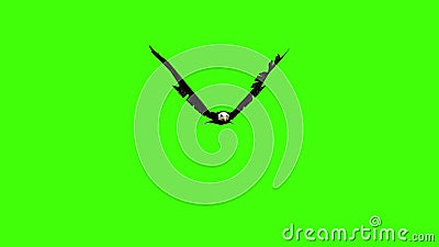 3D Front View of Eagle Flying Loop Animation on Green Screen Stock ...