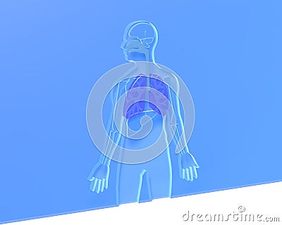 3d Illustration Of The Blue Human Body Respiratory System ...