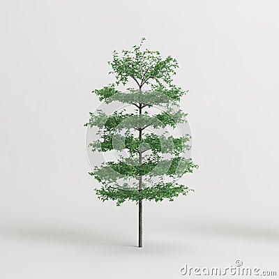 3d Illustration Of Terminalia Mantaly Tree Isolated On White Background ...