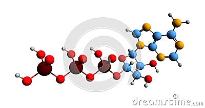 3D Image Of ATP Skeletal Formula Stock Photo | CartoonDealer.com #277253034