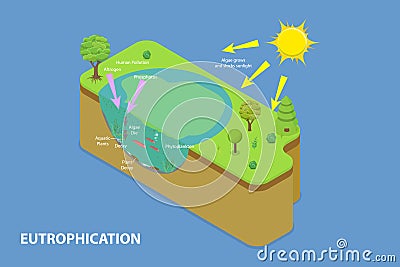 3D Isometric Flat Vector Conceptual Illustration Of Eutrophication ...