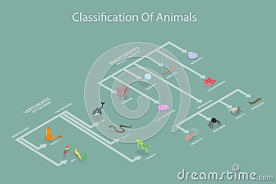 3D Isometric Flat Vector Illustration Of Animal Classification System ...