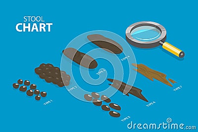 3D Isometric Flat Vector Illustration Of Bristol Stool Chart ...