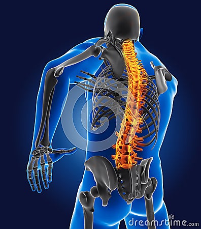 Correct sitting posture stock illustration. Illustration of desktop ...