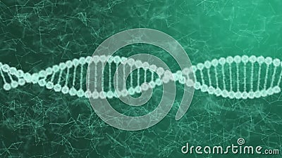 3d Model of Dna Molecules Structure Geometric Model of Luminous Lines ...
