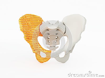 3d Printed Hip Bone Royalty-Free Stock Image | CartoonDealer.com #69786922