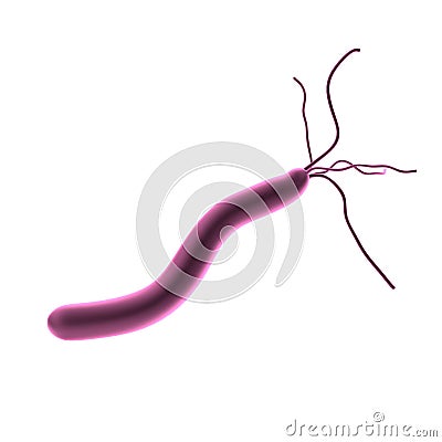 3d Render Of Helicobacter Pylori Stock Photography | CartoonDealer.com ...