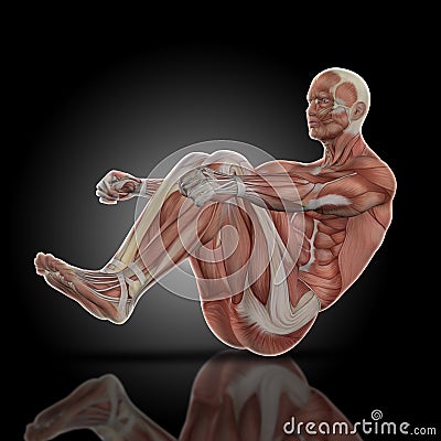 3D Render Of A Medical Figure With Muscle Map In Sit Up Pose Stock ...