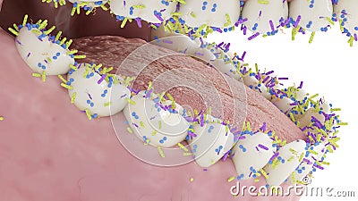 Bacteria On The Teeth Stock Illustration | CartoonDealer.com #165074626