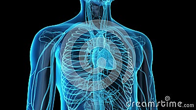 Beating heart stock footage. Video of heartbeat, feeling - 35178888