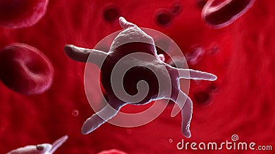 Human platelets stock footage. Video of vascular, science - 140239918