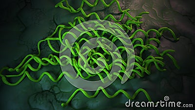 The syphilis bacteria stock video. Video of epidemic - 140240479