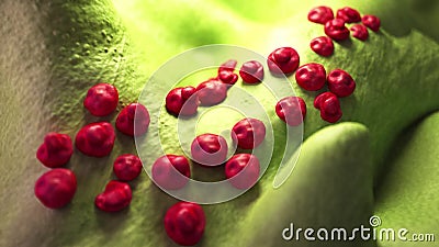 Chlamydia bacteria stock footage. Video of experiment - 140220228