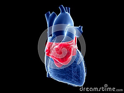 The Left Atrium Royalty-Free Cartoon | CartoonDealer.com #157581686