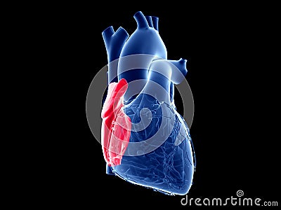 The Right Atrium Stock Illustration | CartoonDealer.com #157581820