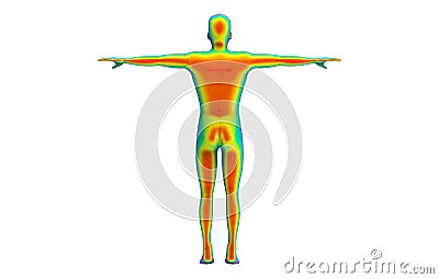 3d Rendering. Back Side Of Human Body Scan By Infrared Ray Structure ...