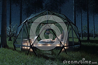 3D Rendering Of Geodesic Dome Hut With Glass Panels In Front Of Pine ...