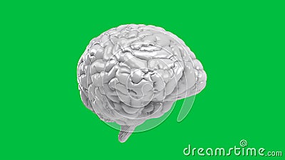 Human Brain on Green Screen Stock Video - Video of intelligent, disease ...