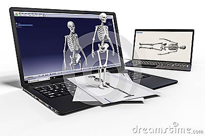 3D Rendering Representing A Computer Aided Design Of A Human Skeleton ...