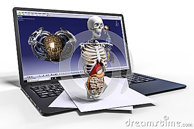 3D Rendering Representing A Computer Aided Design Of A Human Skeleton ...