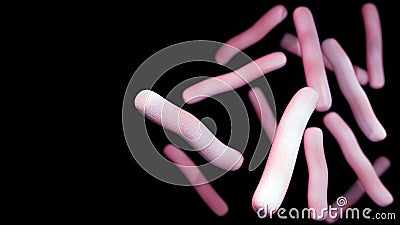 Mycobacterium Tuberculosis Also Known As Koch's Bacillus Royalty-Free ...