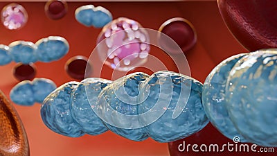 3d Rendering Of Septicemia, Or Sepsis By Streptococcus Pyogenes Royalty ...